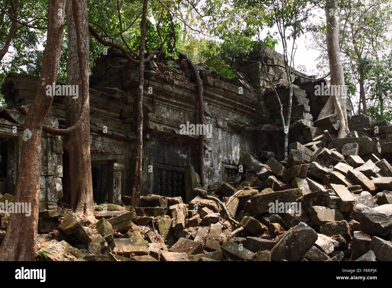 Ruins of Beng Mealea Temple, Angkor, Cambodia Stock Photo - Alamy
