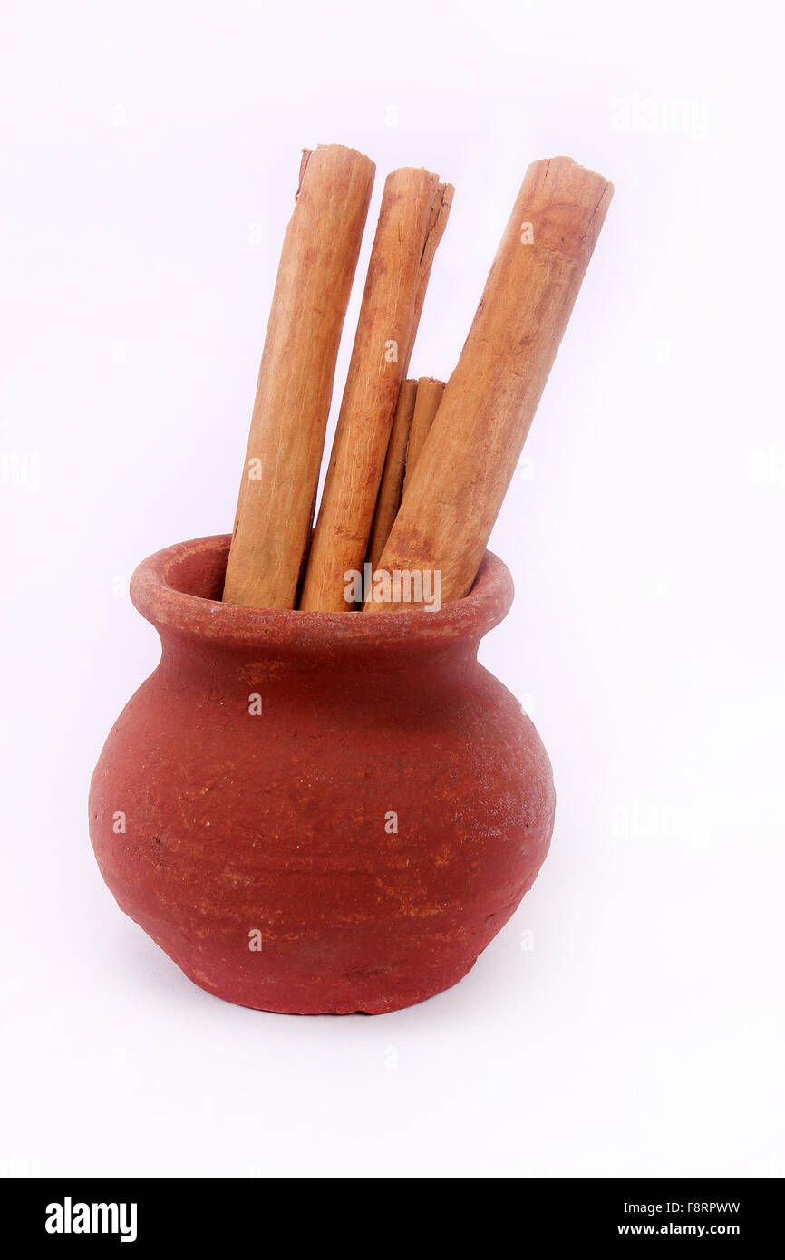 cinnamon sticks in a pot bunch on a white background Stock Photo - Alamy