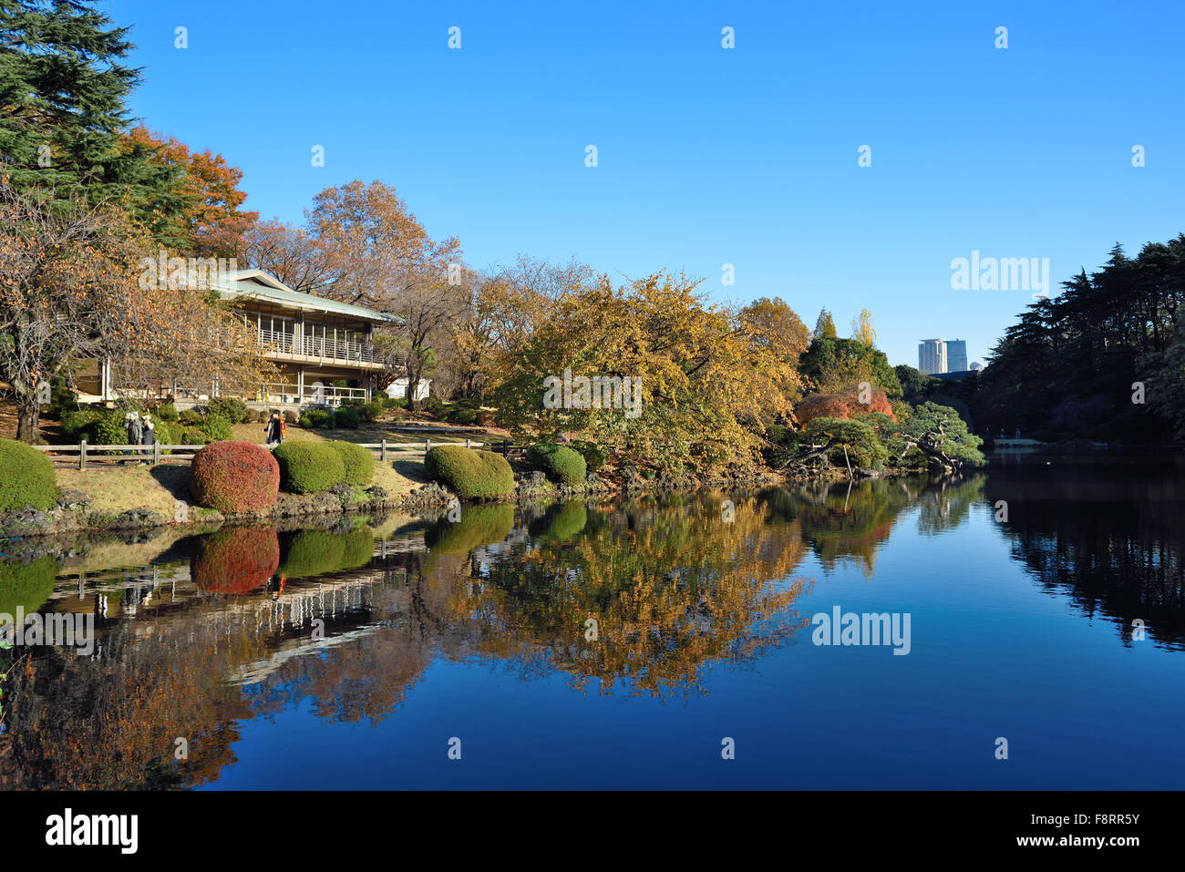 Shinjuku gyoen, tokyo, japan hi-res stock photography and images - Alamy