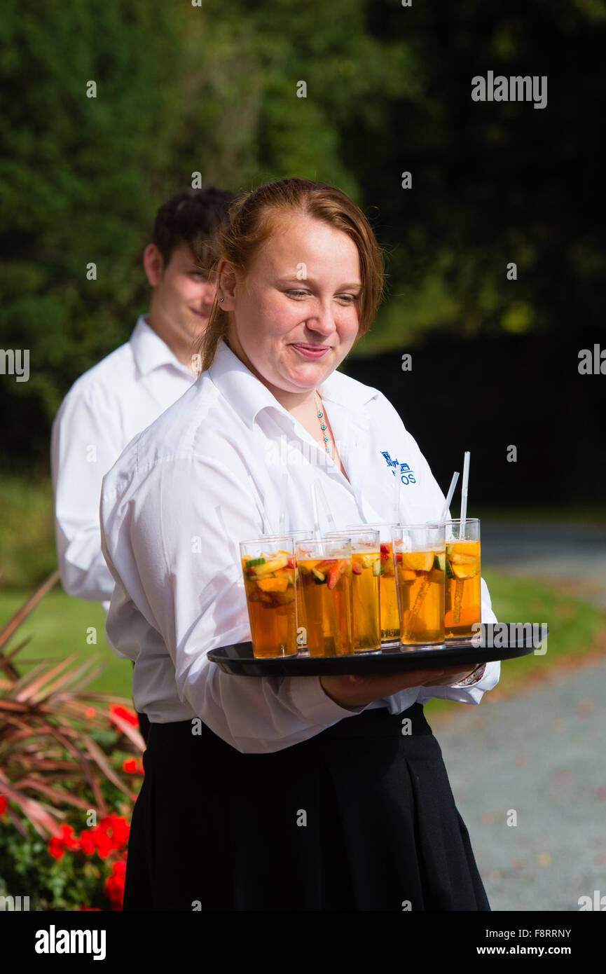 A young woman waitress holding a tray serving glasses of Pimms cordial ...
