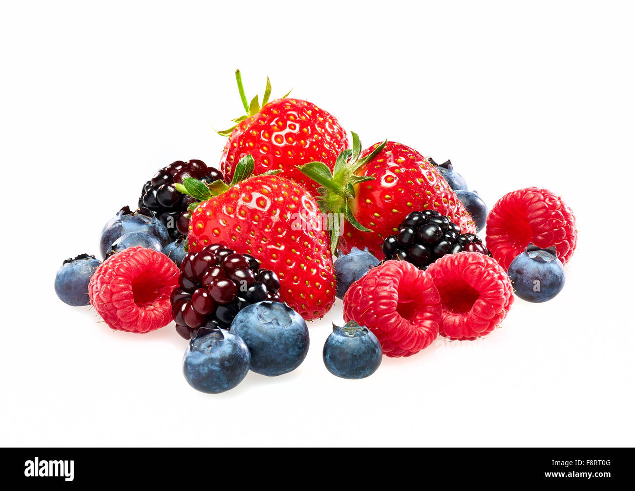 Berry picking forest Cut Out Stock Images & Pictures - Alamy
