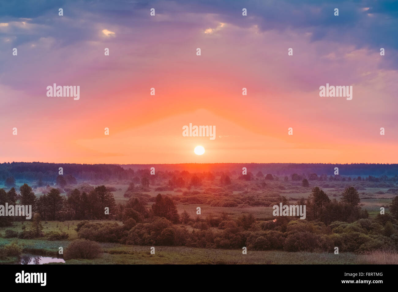 Beautiful Forest On Colorful Sunrise. Dramatic Sky With Sunset Sun Over ...