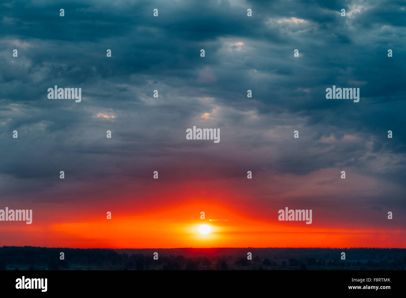Dramatic sky over forest hi-res stock photography and images - Alamy