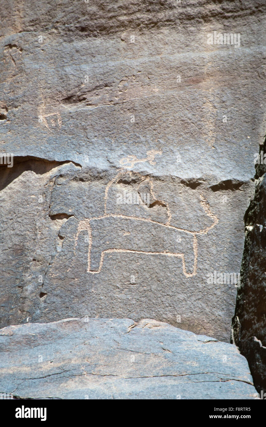 Petroglyphs carved in to rock in the Northern Hijaz area of Saudi ...