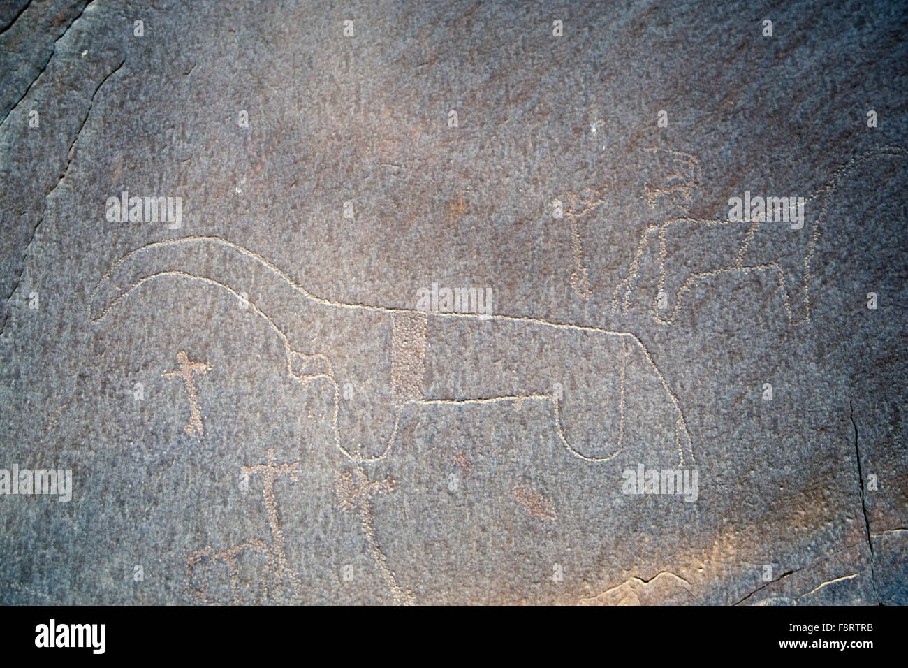 A petroglyph carved on to rock in the Northern Hijaz area of Saudi ...