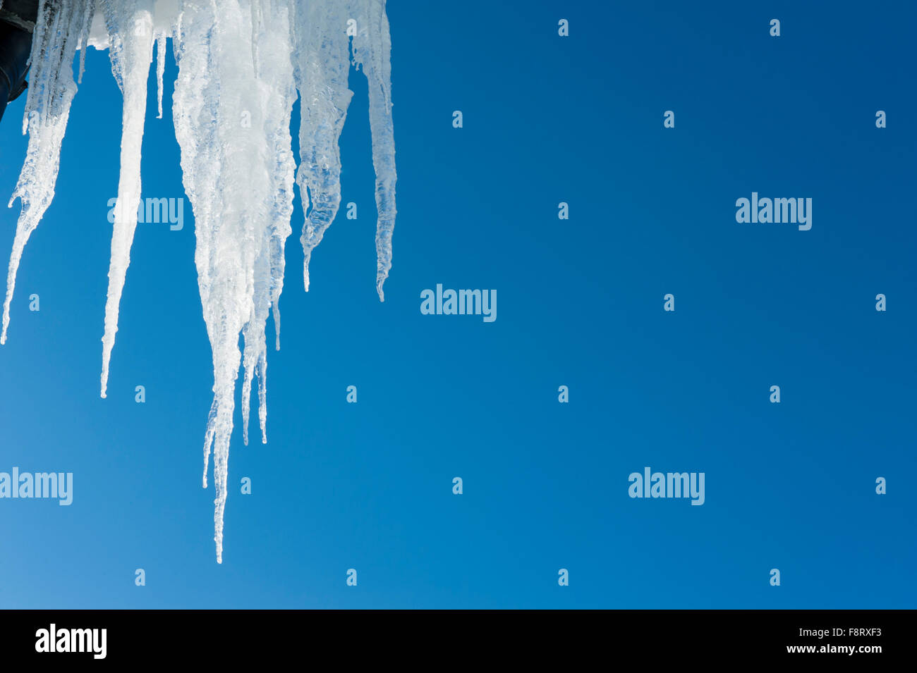 Long white icicle hi-res stock photography and images - Alamy