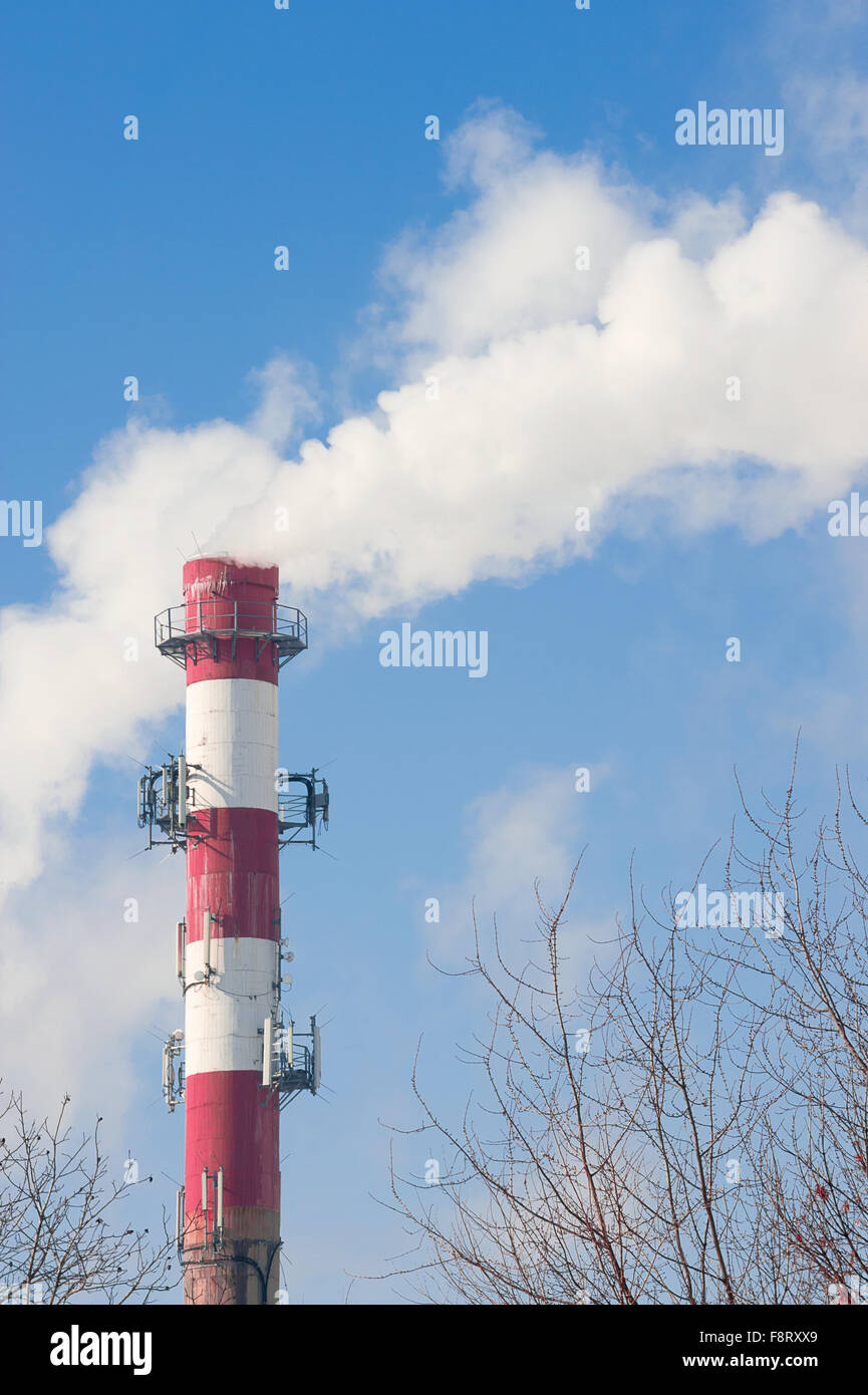 Chimney tree hi-res stock photography and images - Alamy