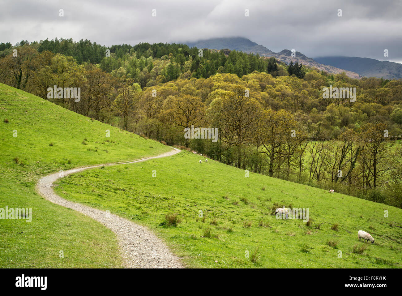 Lake District landscape with stormy sky over countryside and fells ...