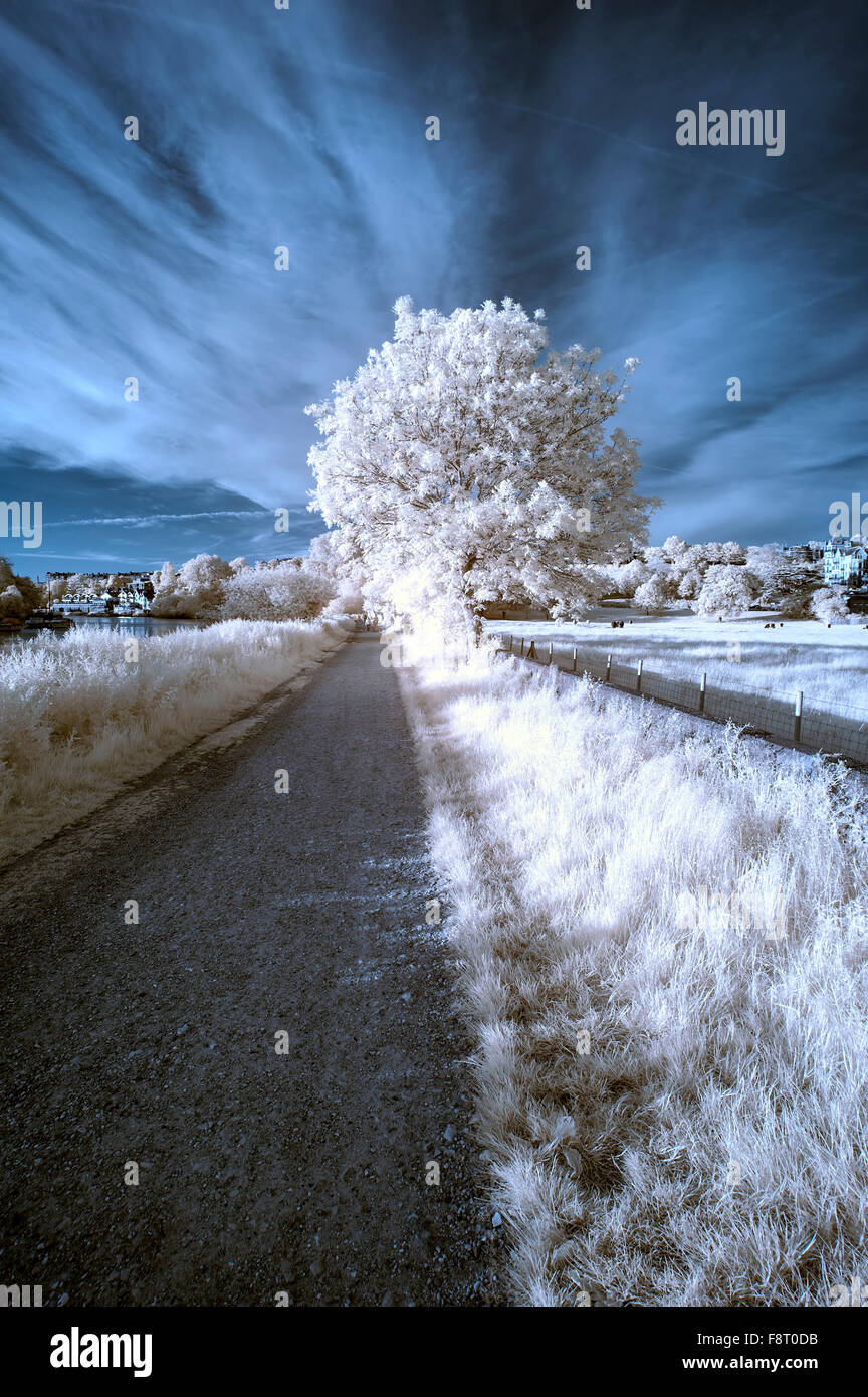 Stunning unique infra red landscape with false color impact Stock Photo ...