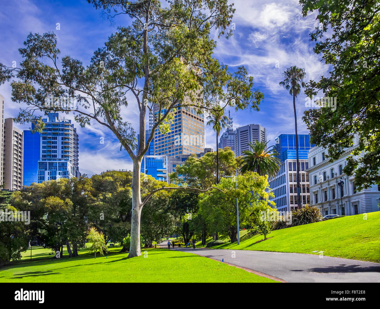 Treasury Gardens Melbourne, Australia Stock Photo - Alamy