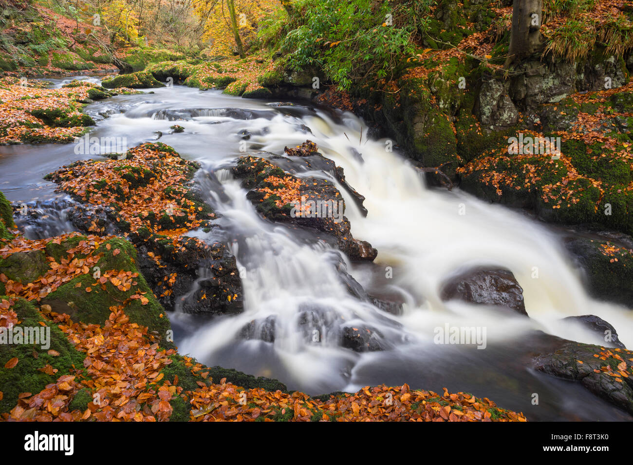 River devon hi-res stock photography and images - Alamy