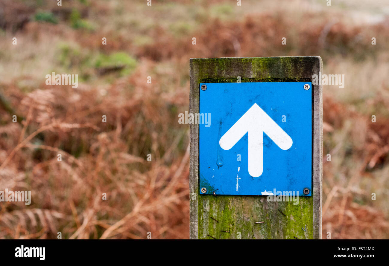 Arrow pointing up hi-res stock photography and images - Alamy