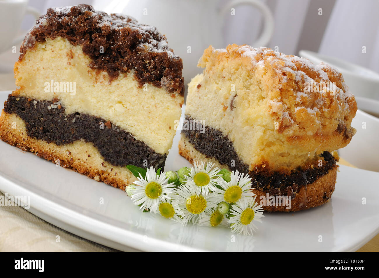 Two piece of cake with cheesecake filling poppy Stock Photo - Alamy