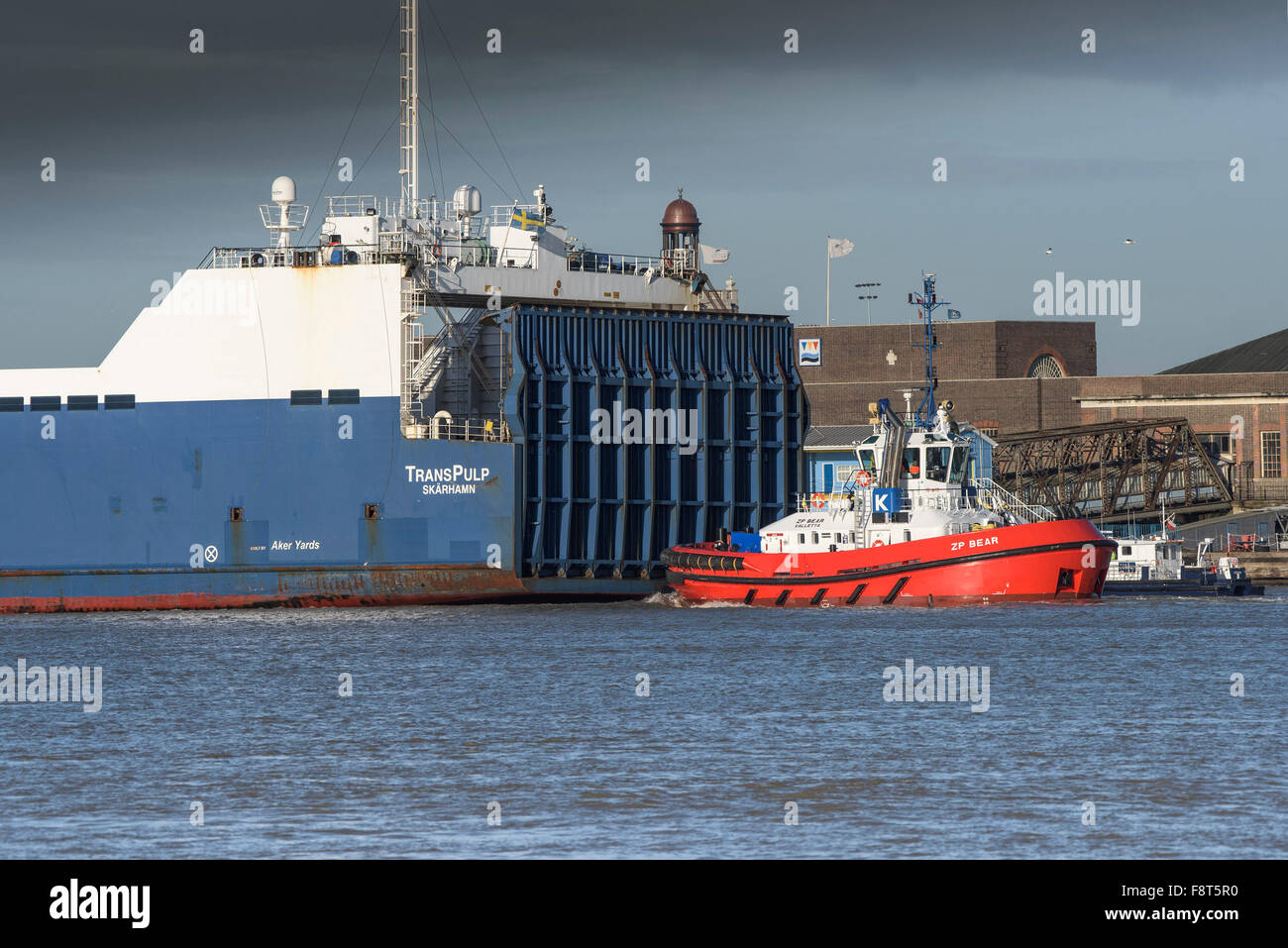 The tug, ZP Bear assisting the Ro-Ro cargo ship Transpulp as she steams ...