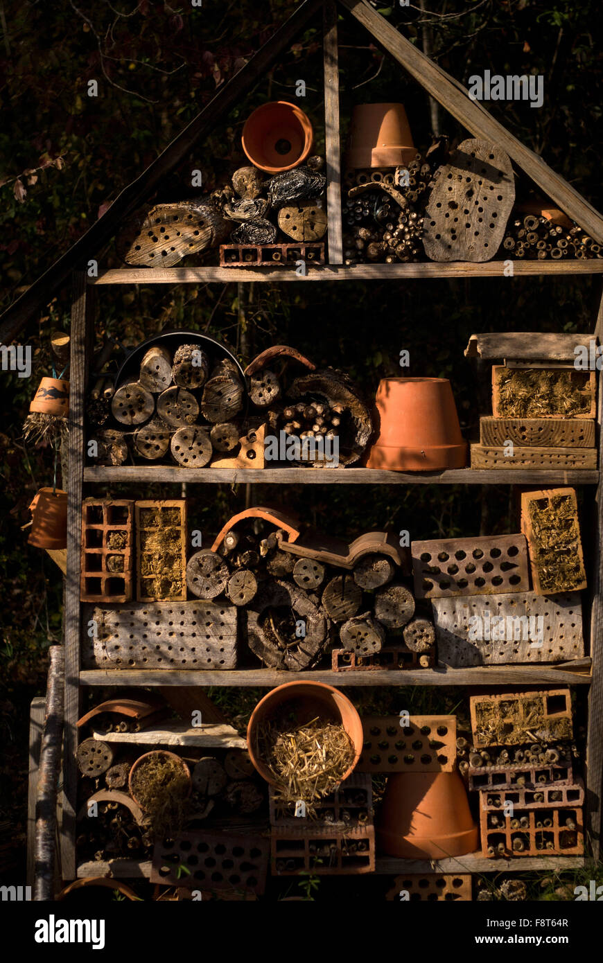 Insect friendly gardens hi-res stock photography and images - Alamy