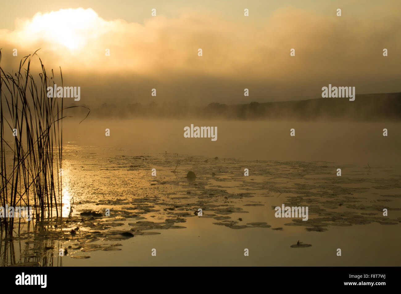 Sunrise mist on the river painted in sepia. River landscape became ...