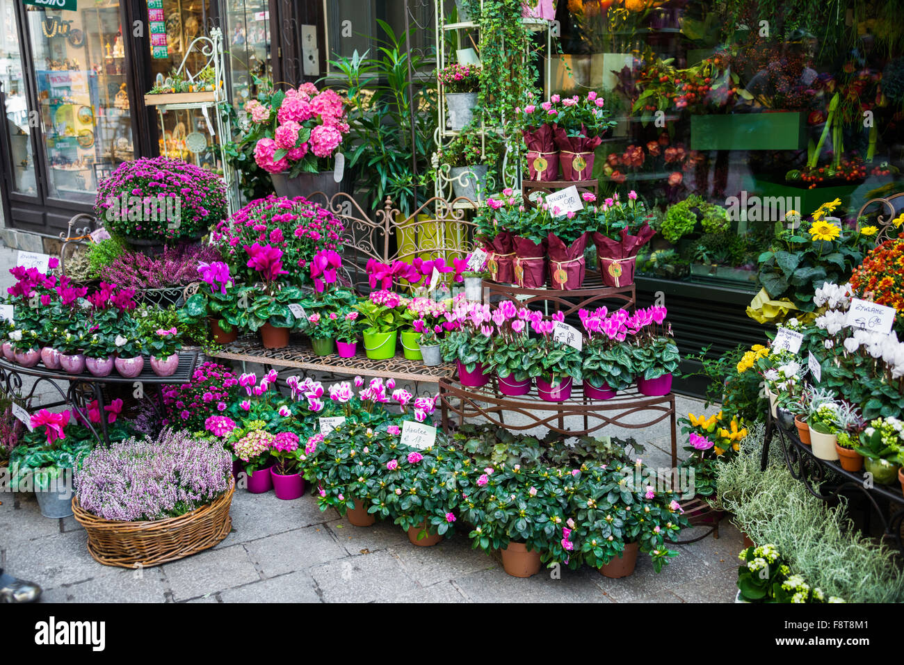 Street flower shop with colourful flowers Stock Photo - Alamy