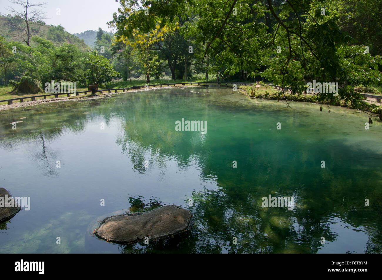 Hot springs source at a spa in Northern Thailand, Southeast Asia, near ...