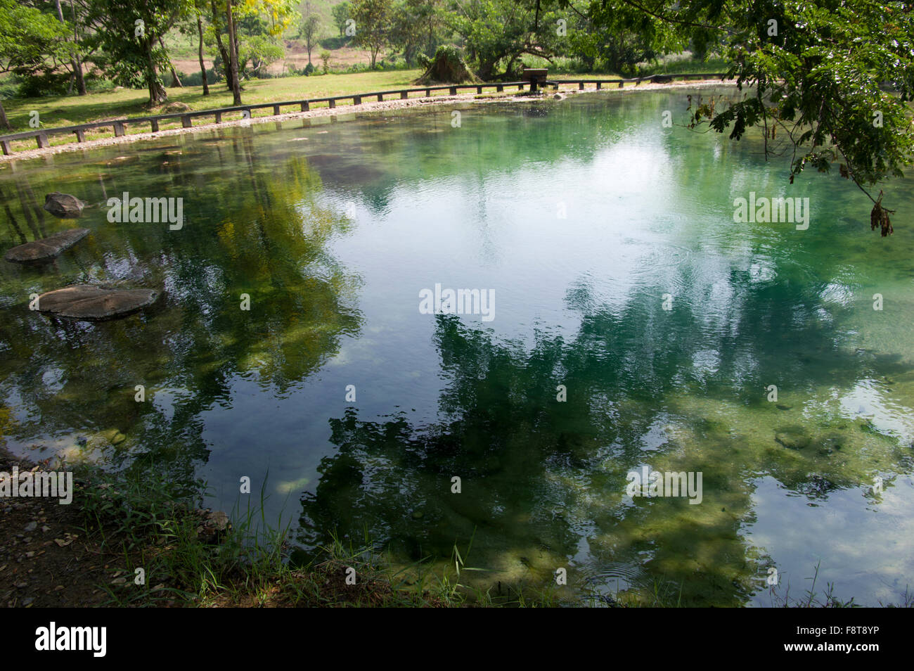Hot springs source at a spa in Northern Thailand, Southeast Asia, near ...