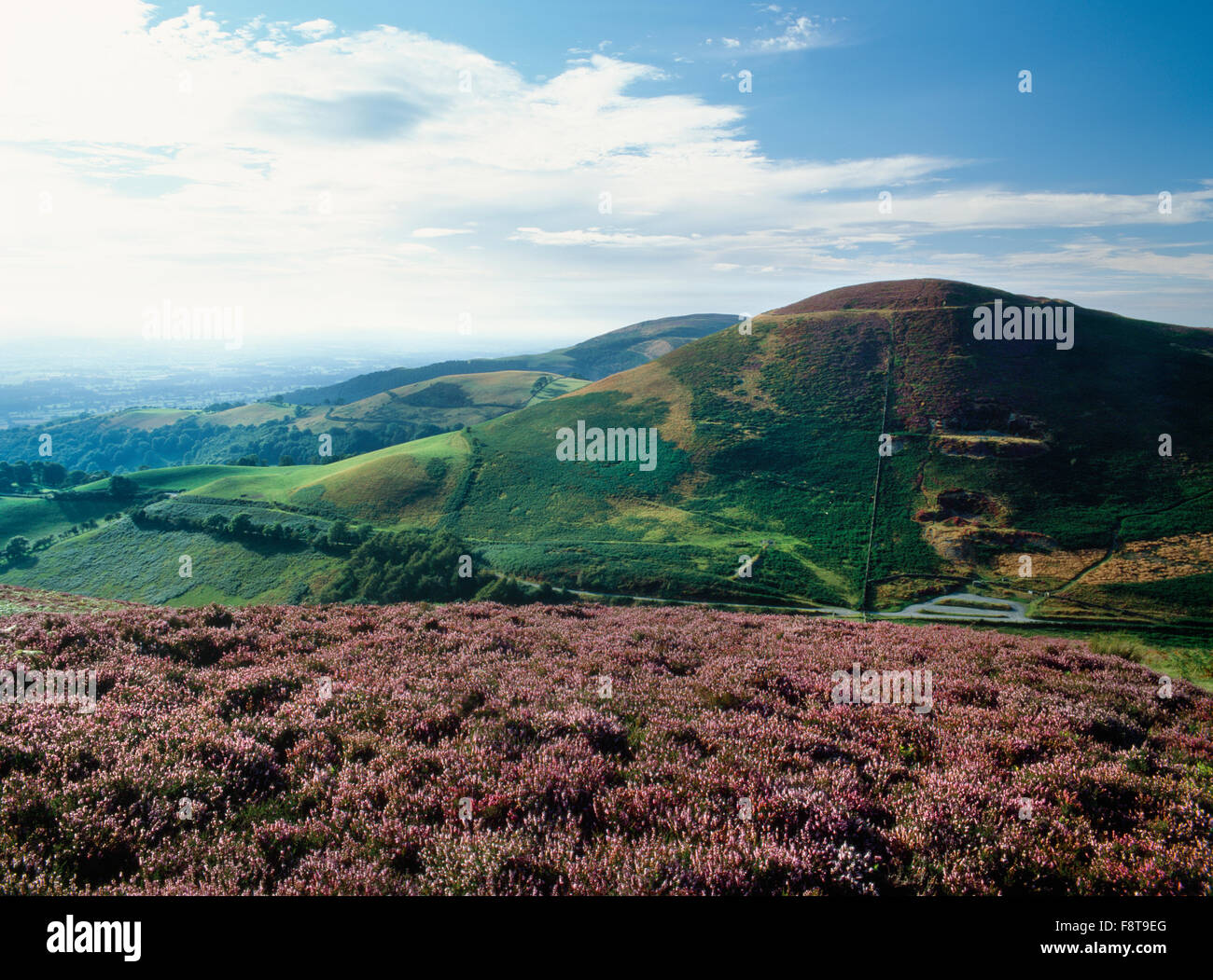 View NW from Moel Llys-y-coed to circular rampart of Moel Arthur ...