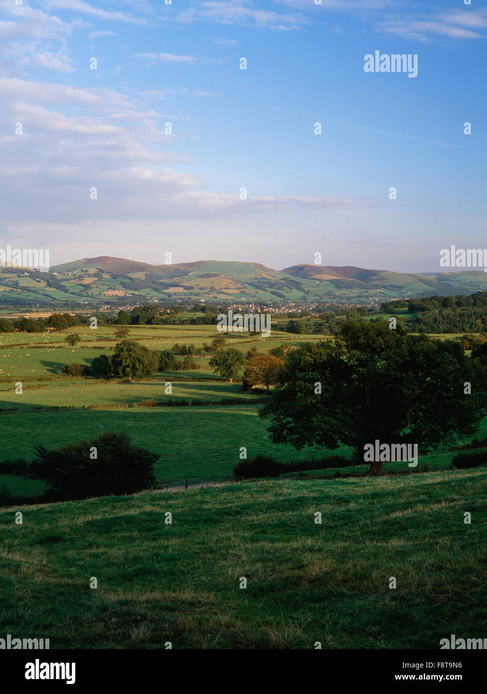 View SE from near Rhewl across the Vale of Clwyd to Ruthin & the ...