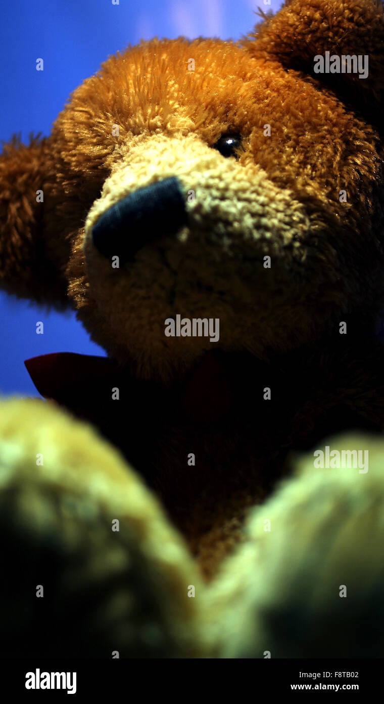 Teddy bear face with blue background Stock Photo - Alamy