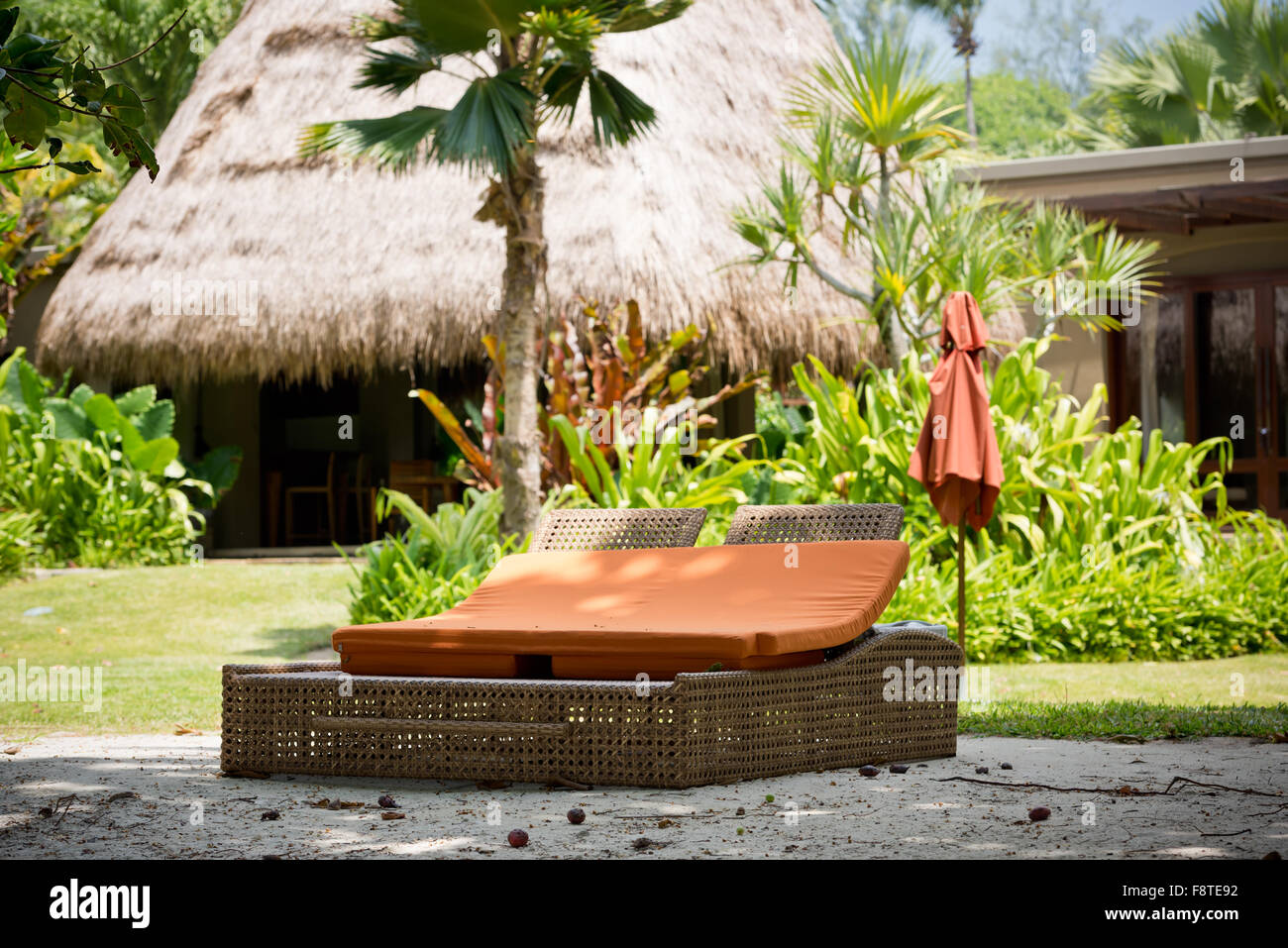 beach bed on white sand among palm trees in full sun Stock Photo - Alamy