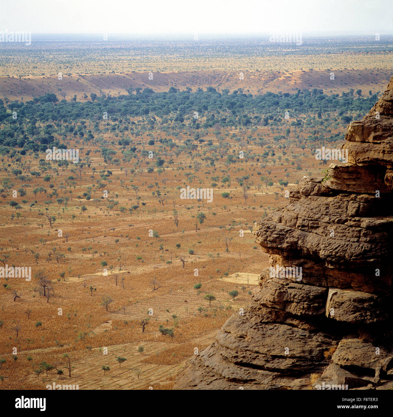 View over fields outside Dogon village Banani, Mali Stock Photo - Alamy