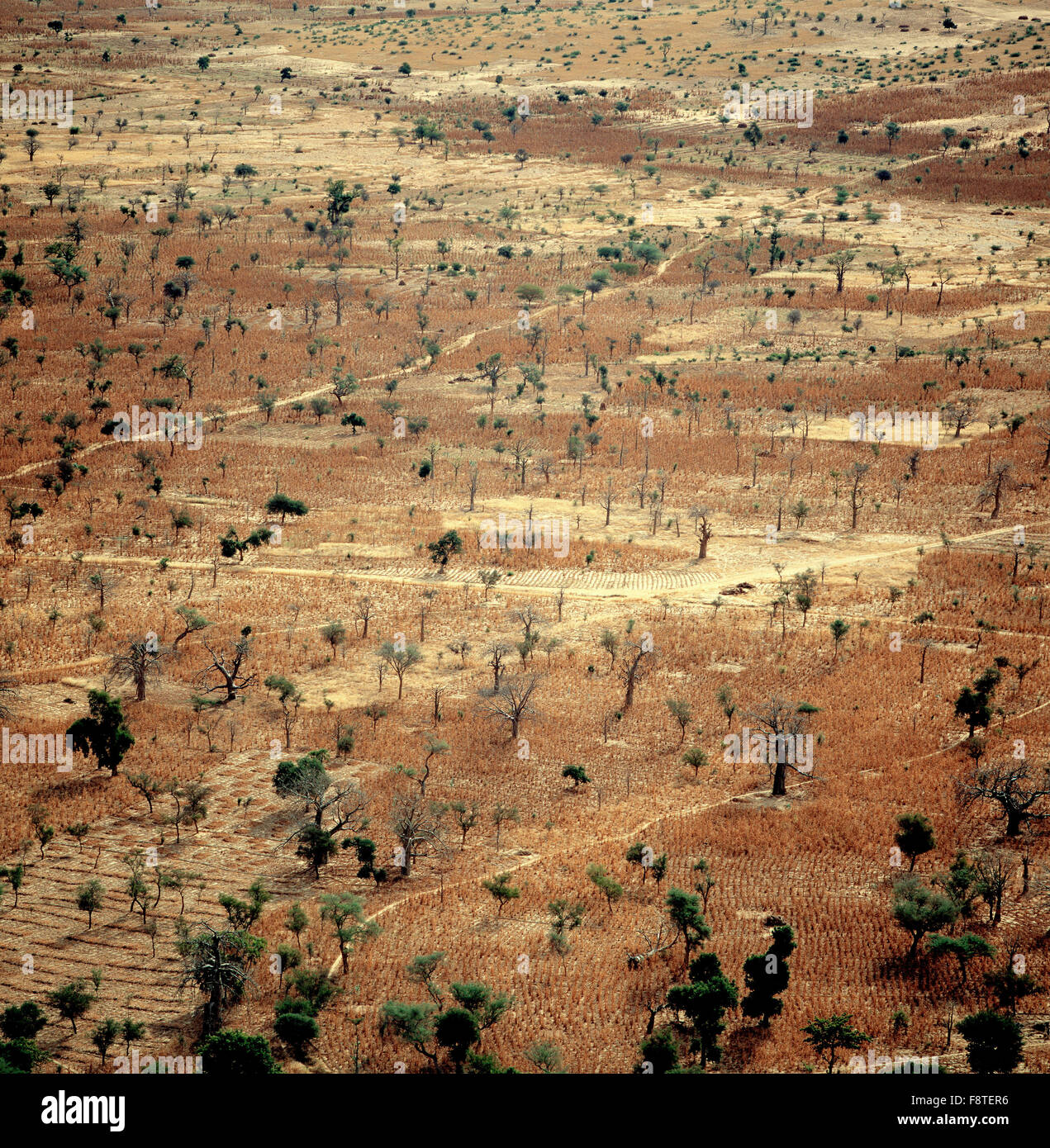 Sub saharan desert village hi-res stock photography and images - Alamy