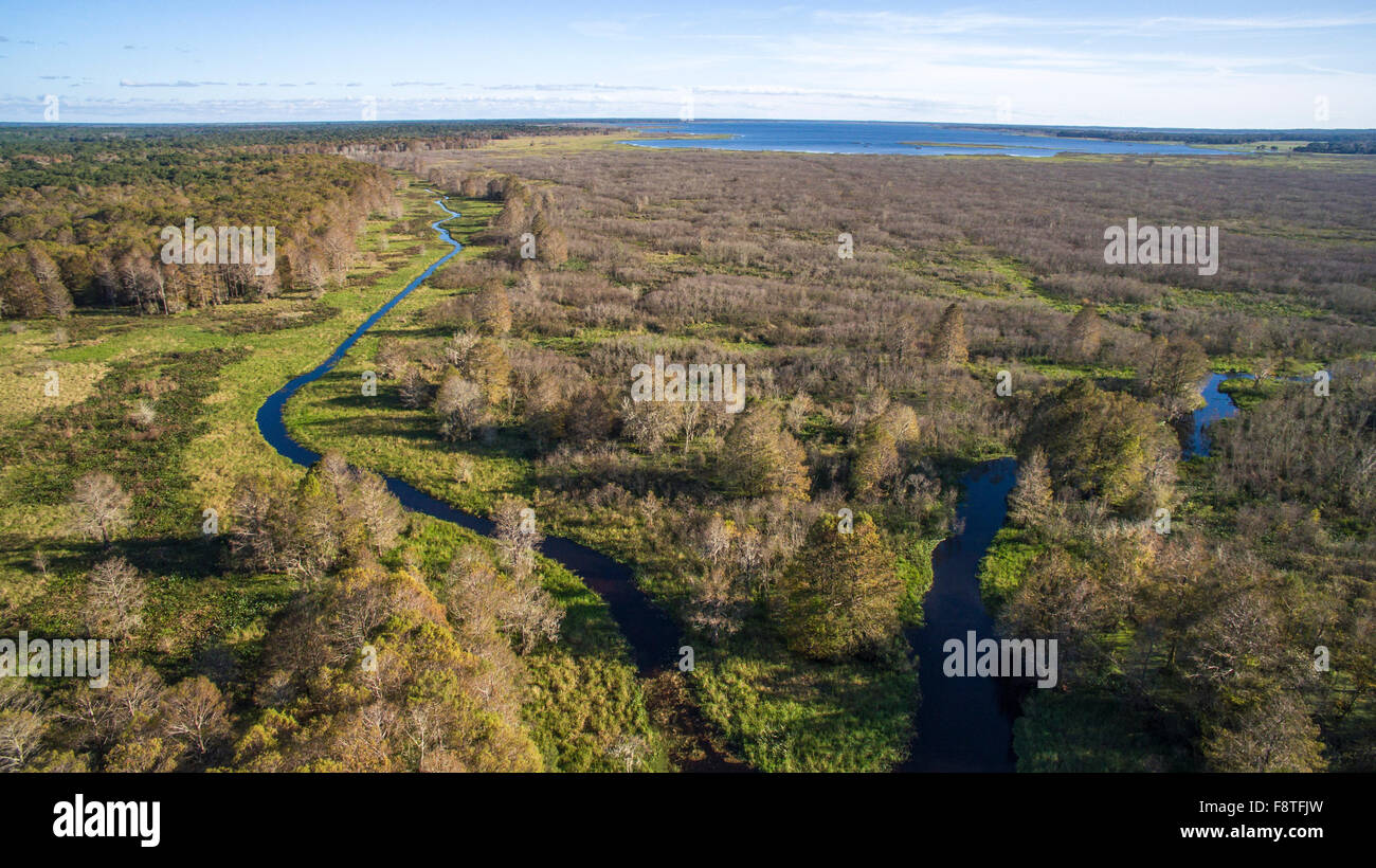 Florida alachua hi-res stock photography and images - Alamy