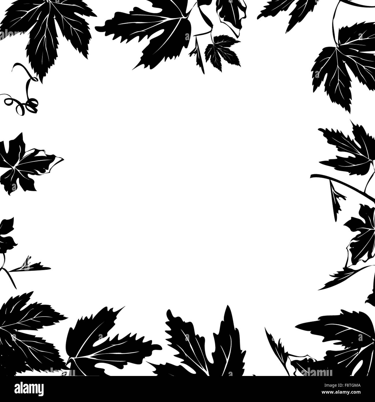 Vine arch Black and White Stock Photos & Images - Alamy