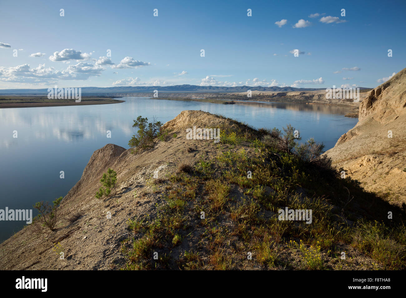 WA12293-00...WASHINGTON - One of the White Bluffs rising above the ...