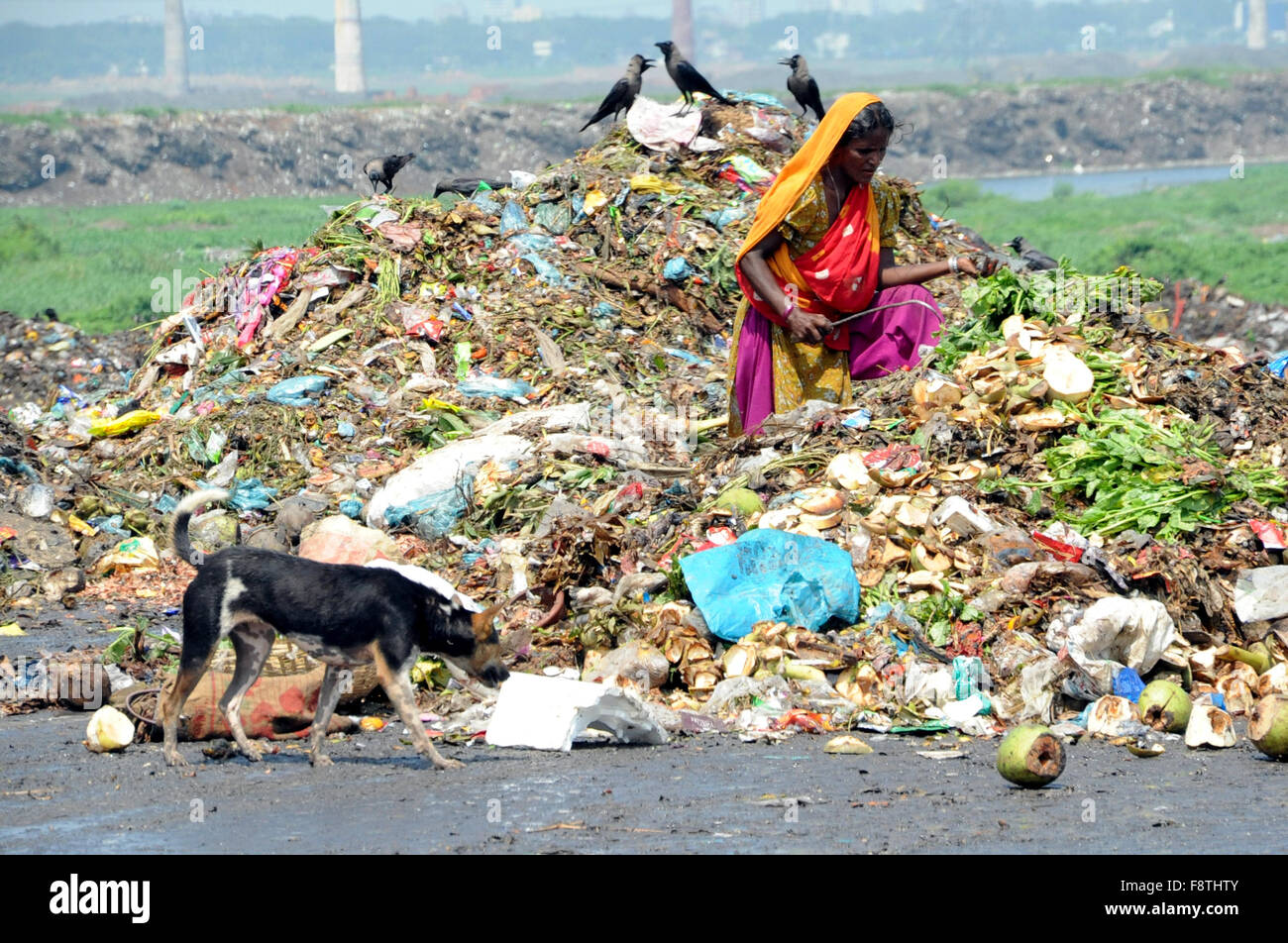 Waste picker High Resolution Stock Photography and Images - Alamy