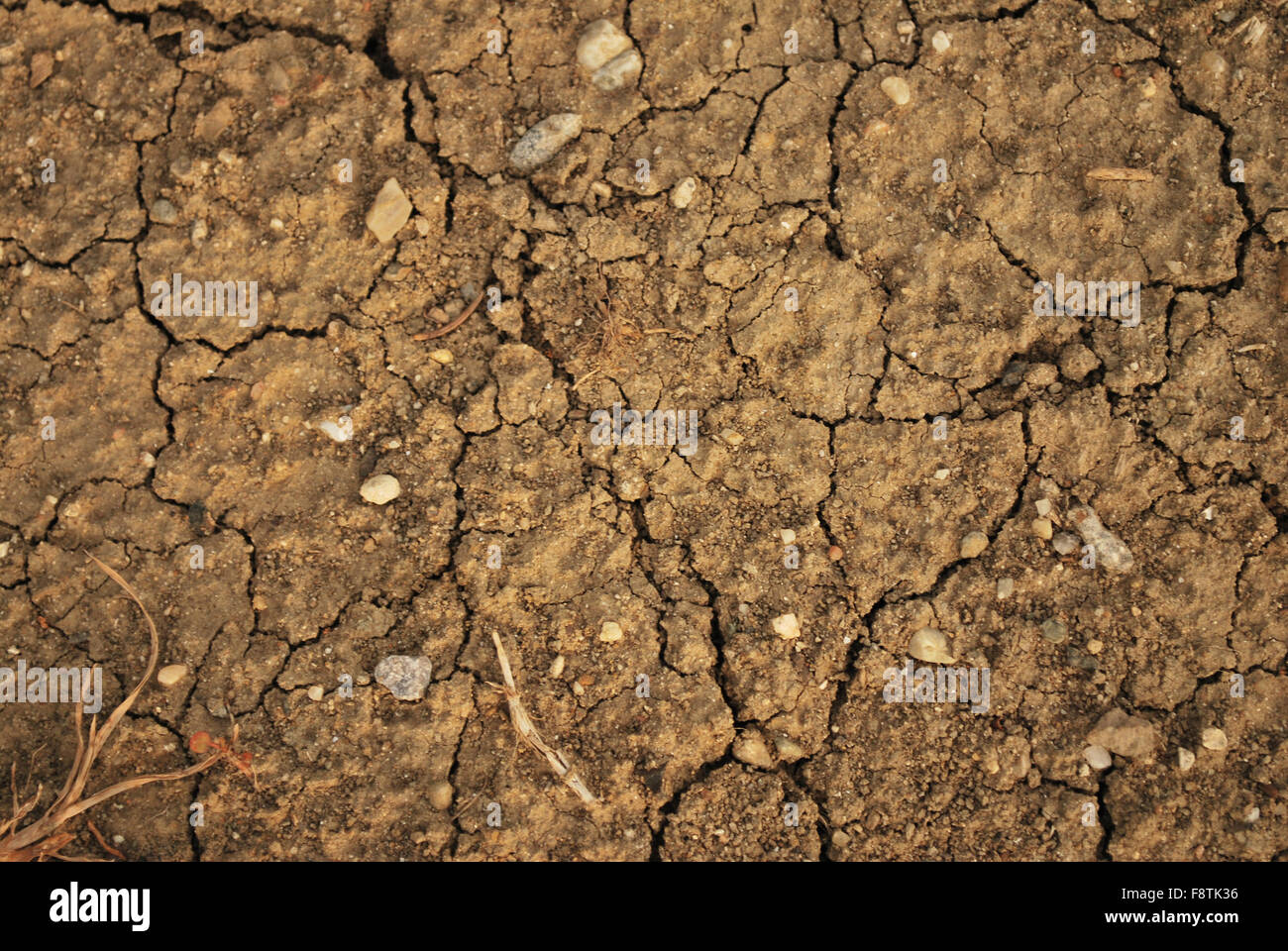 Cricket pitch texture hi-res stock photography and images - Alamy