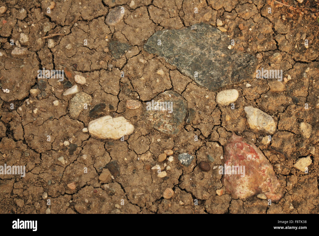 Cricket pitch texture hi-res stock photography and images - Alamy