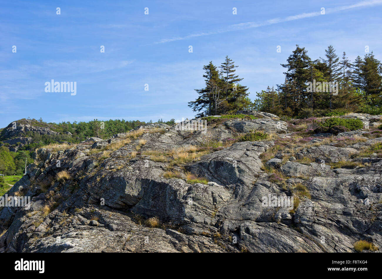 WOODED GRANITE ROCKS Stock Photo - Alamy