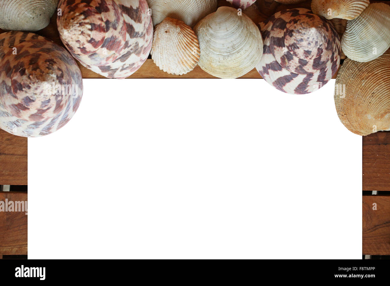 Sea shells frame on vintage shabby wood with blank paper Stock Photo ...