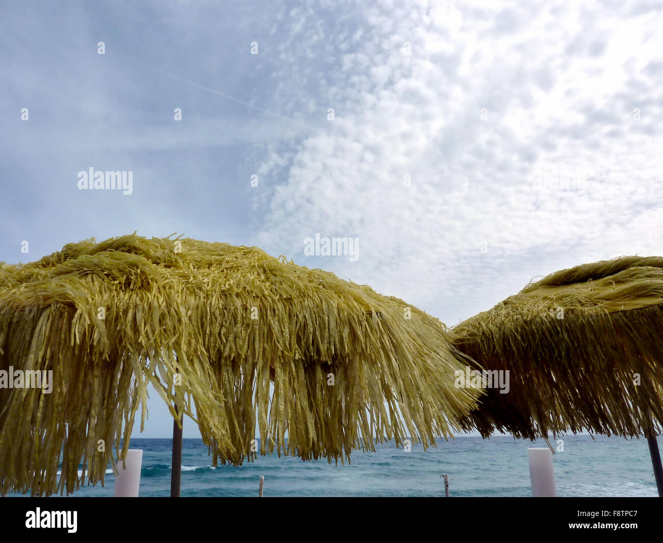Yellow sun umbrellas at sea Stock Photo - Alamy