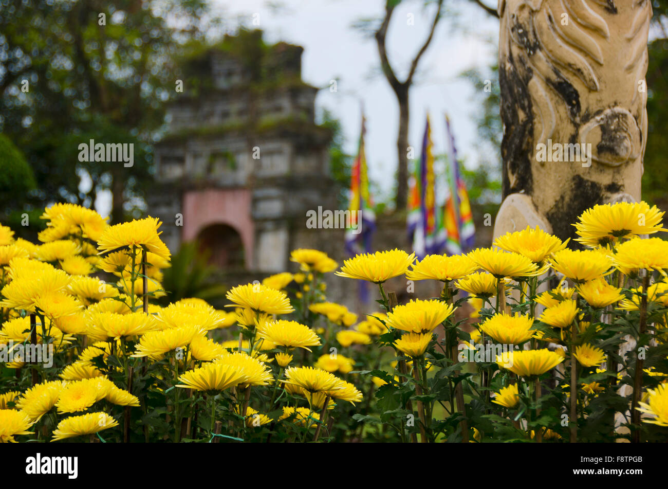 Travel Hue Vietnam citadel ancient city ruins statue asia temple budha ...