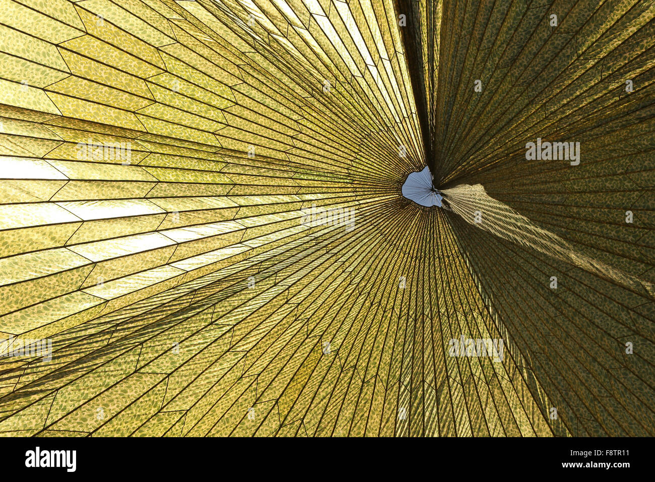 Pretty Pattern of a Military Parachute From Underneath Stock Photo - Alamy
