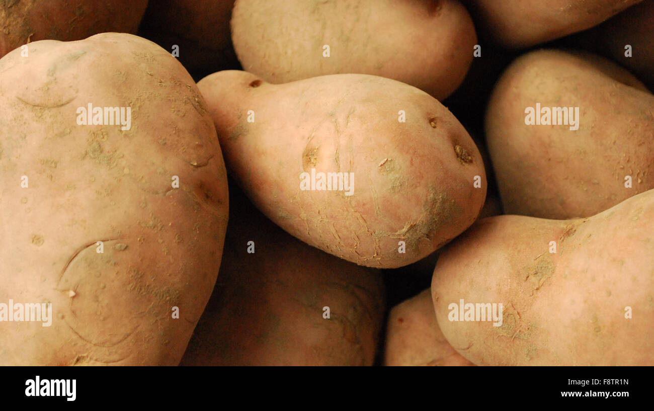 Russet brown skin hi-res stock photography and images - Alamy