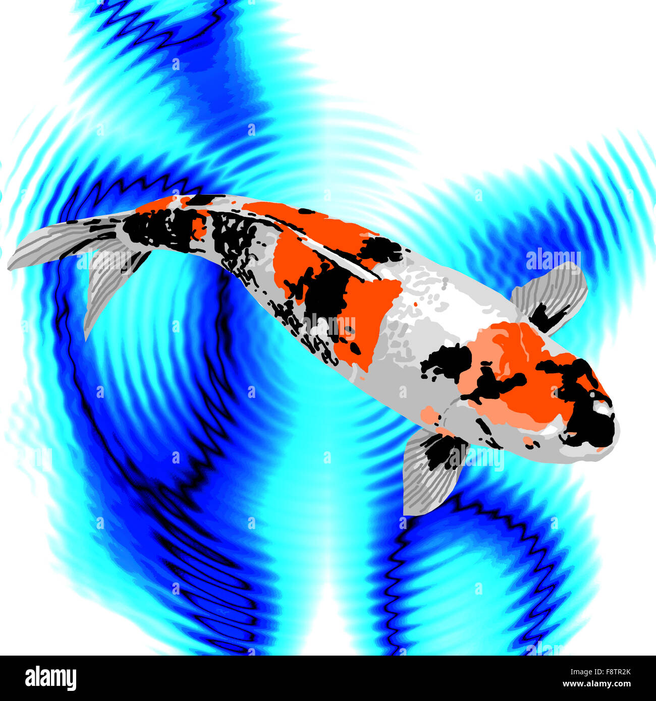 Koi carp drawing Cut Out Stock Images & Pictures - Alamy