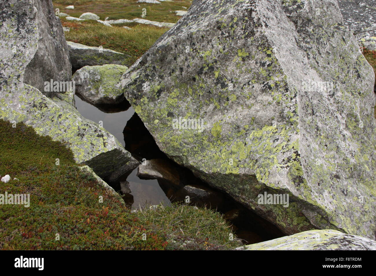 Map of limestone hi-res stock photography and images - Alamy