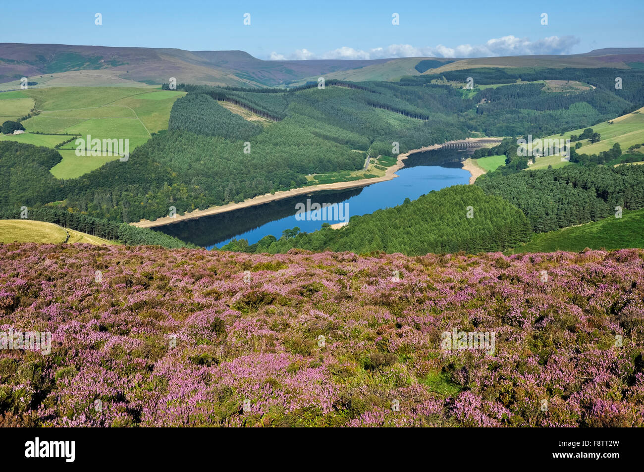 View of Ladybower reservoir on a glorious sunny summer day. Heather ...