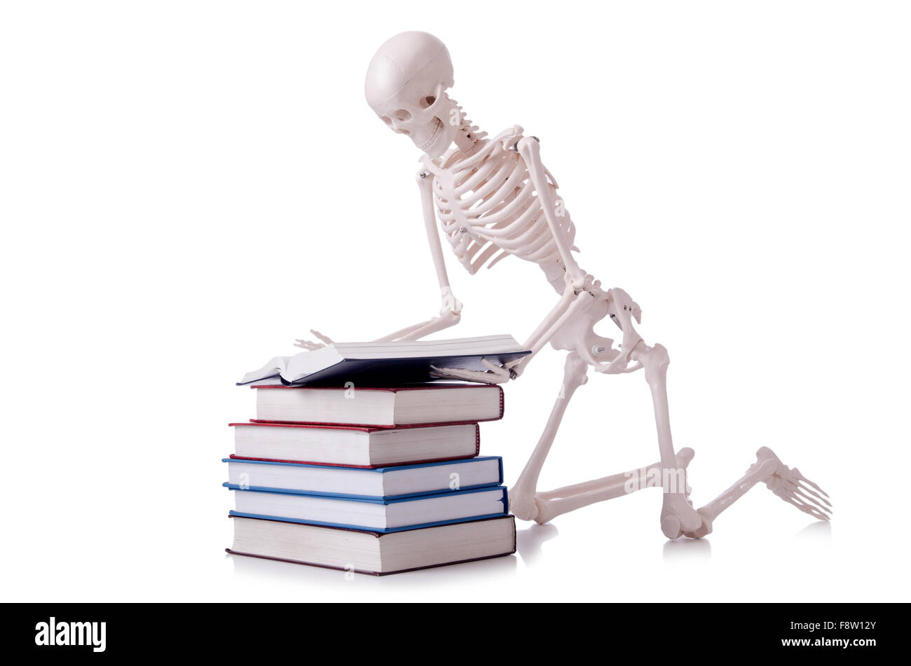 Skeleton reading books on white Stock Photo - Alamy