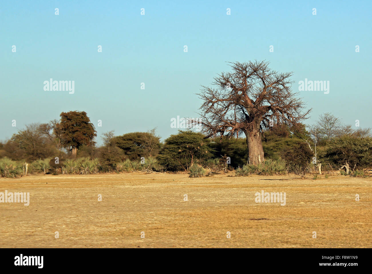 Mahangu National Park High Resolution Stock Photography and Images - Alamy