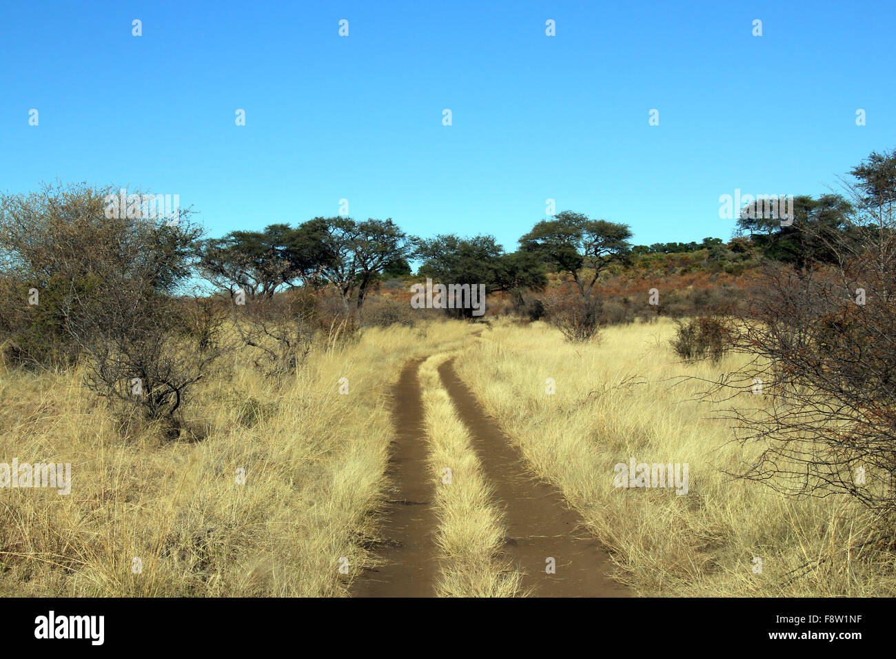 Mahangu National Park. Caprivi Strip, Namibia Stock Photo - Alamy