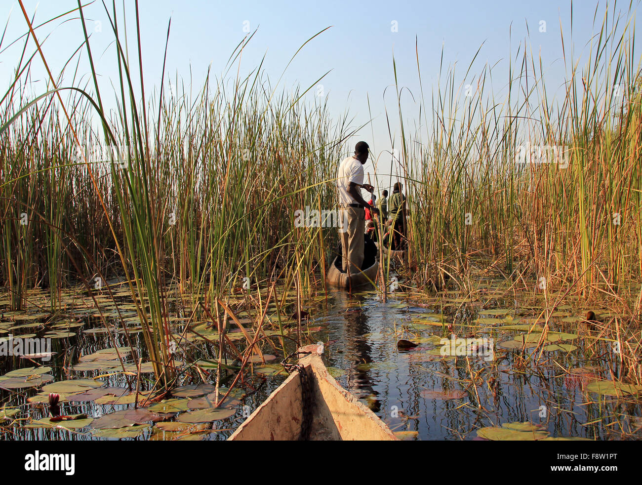 Mokoro Safari in Okavango Delta, Botswana Stock Photo - Alamy