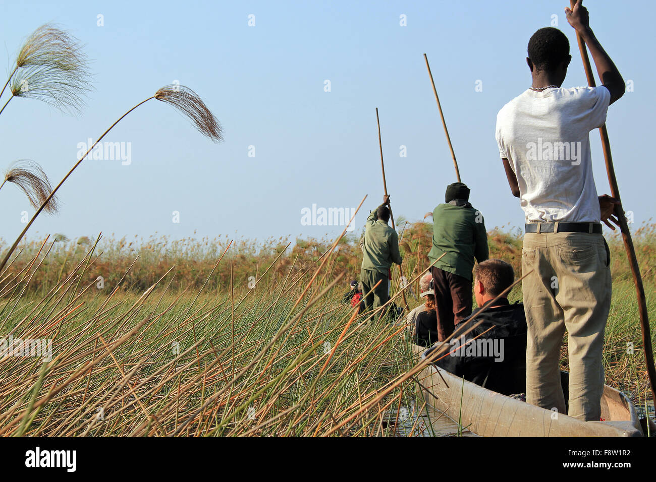 Mokoro Safari in Okavango Delta, Botswana Stock Photo - Alamy