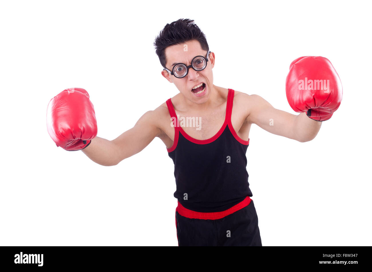 Funny boxer isolated on the white background Stock Photo - Alamy